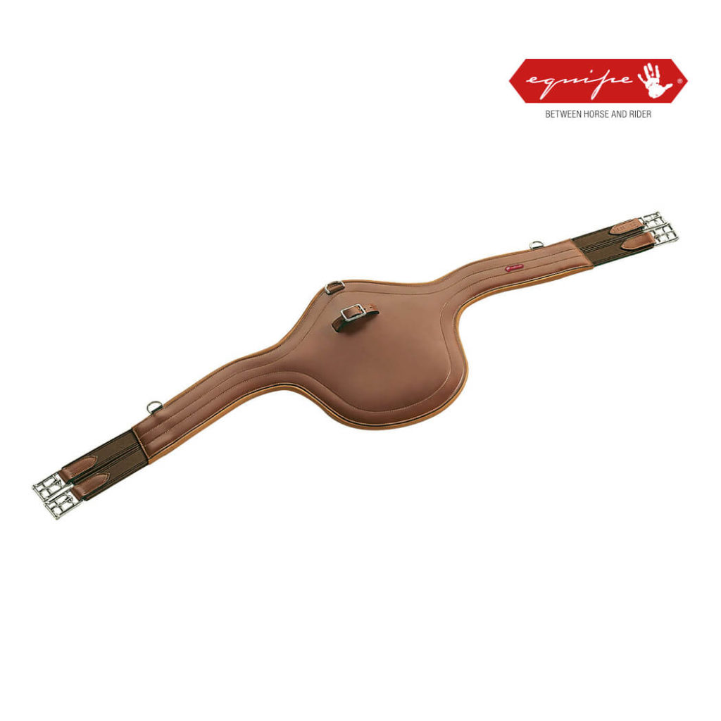 Equipe Kevlar/Carbon Anatomic Stud Guard - Equestrian House