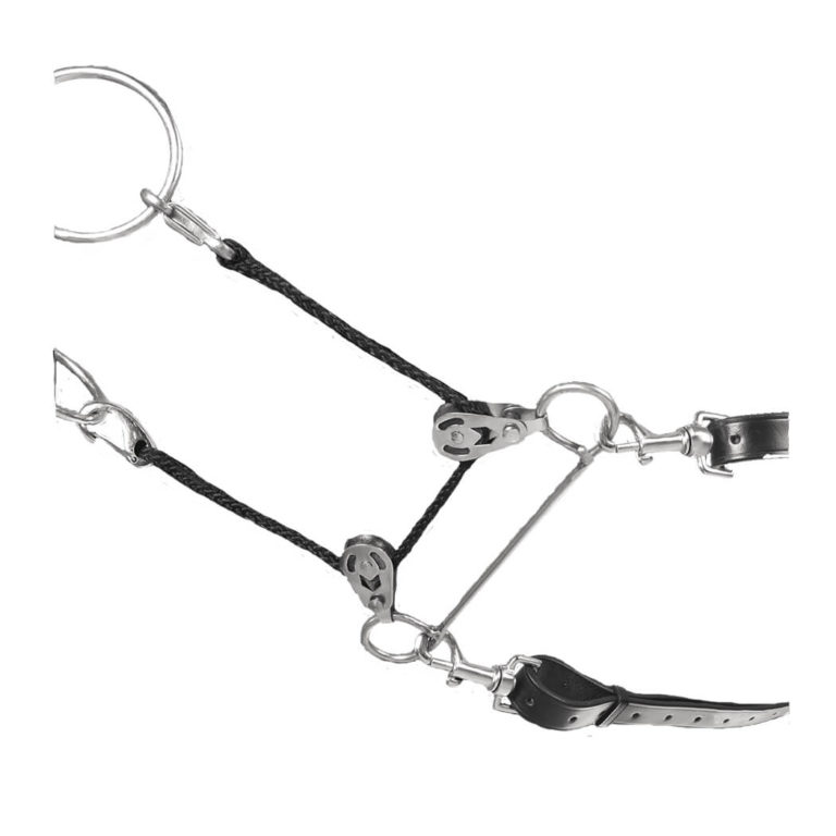 Waldhausen Riding and Lungeing System -Gentle Way - Equestrian House