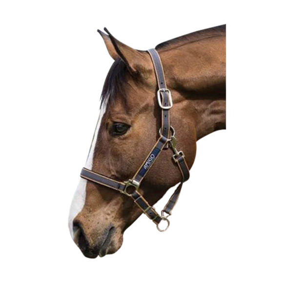 Halters, Headcollars, Leads & Fly Masks Archives - Equestrian House