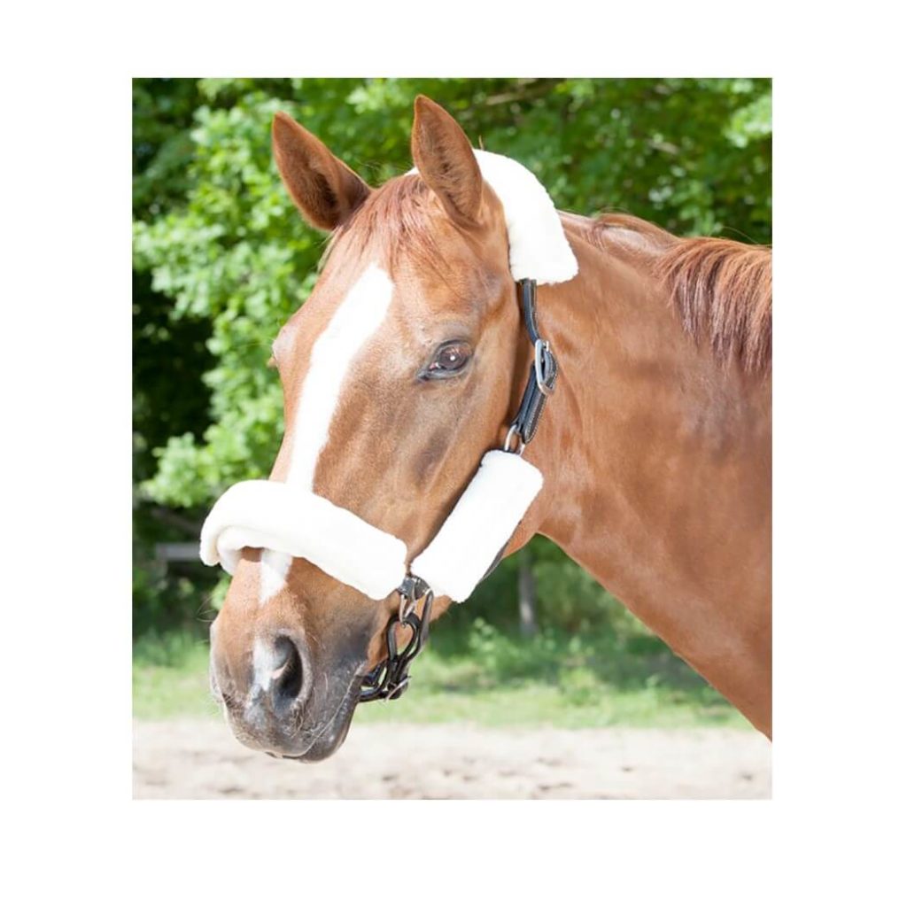 Bridle Hanger and Hook - Equestrian House