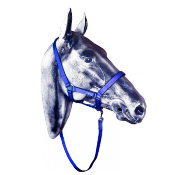 Halters, Headcollars, Leads & Fly Masks Archives - Equestrian House