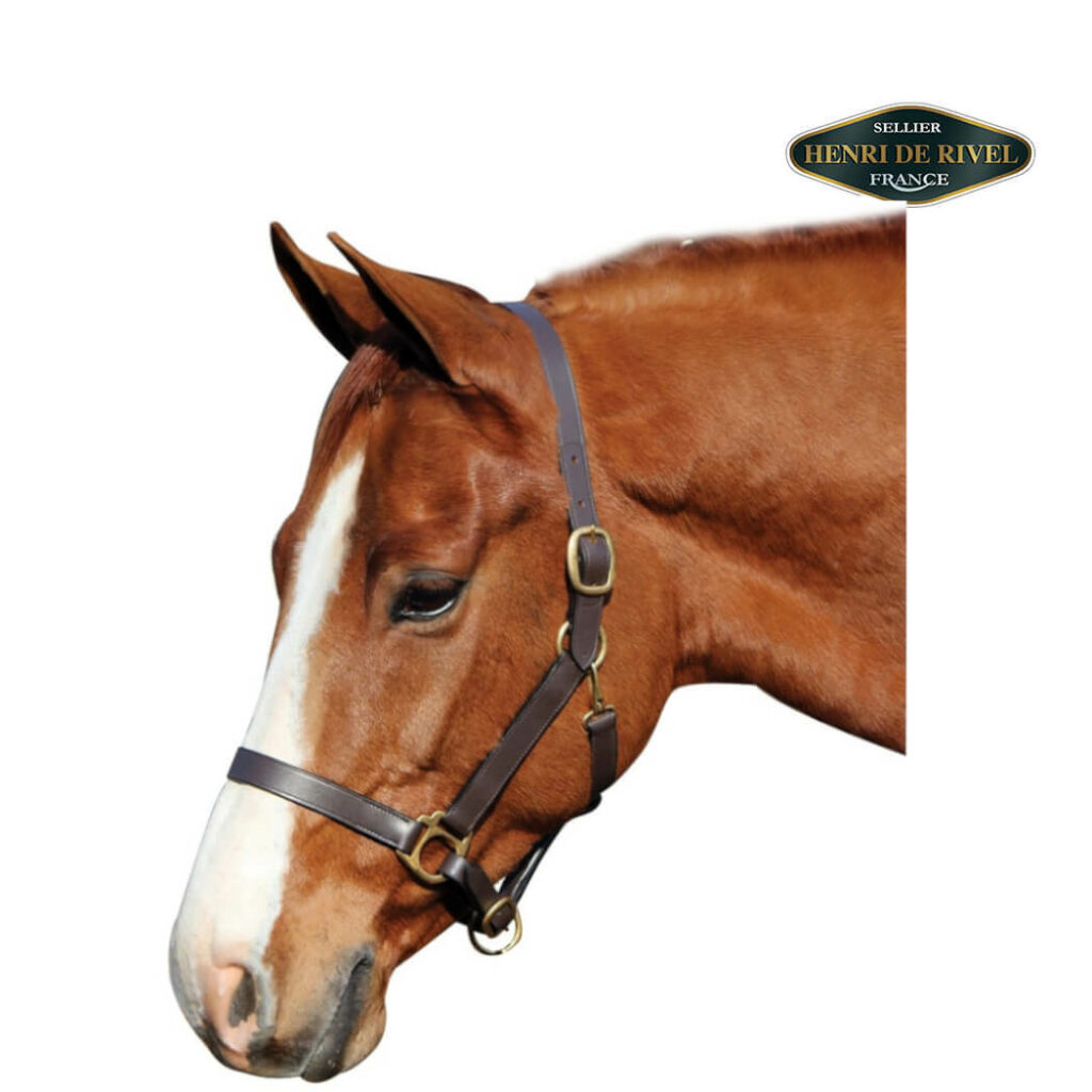 Halters, Headcollars, Leads & Fly Masks Archives - Equestrian House