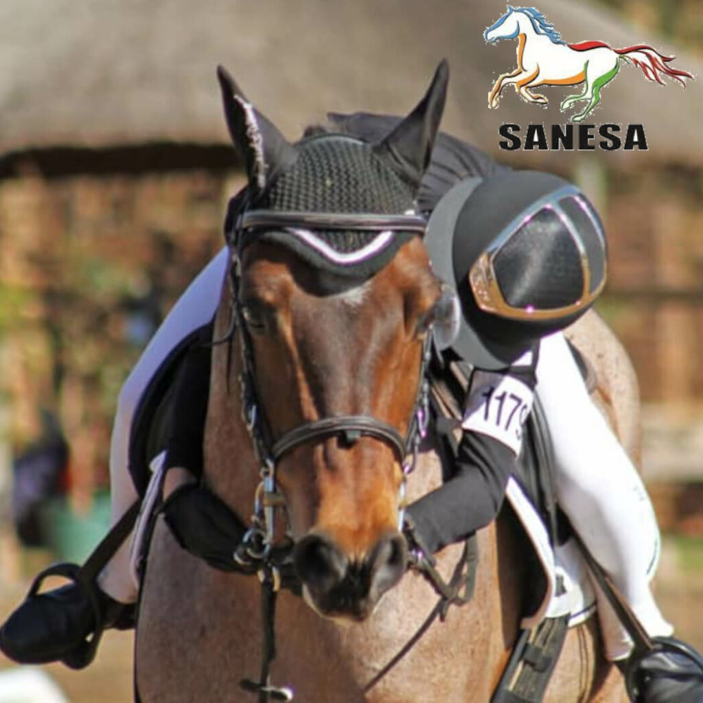 SANESA Armband - Equestrian House