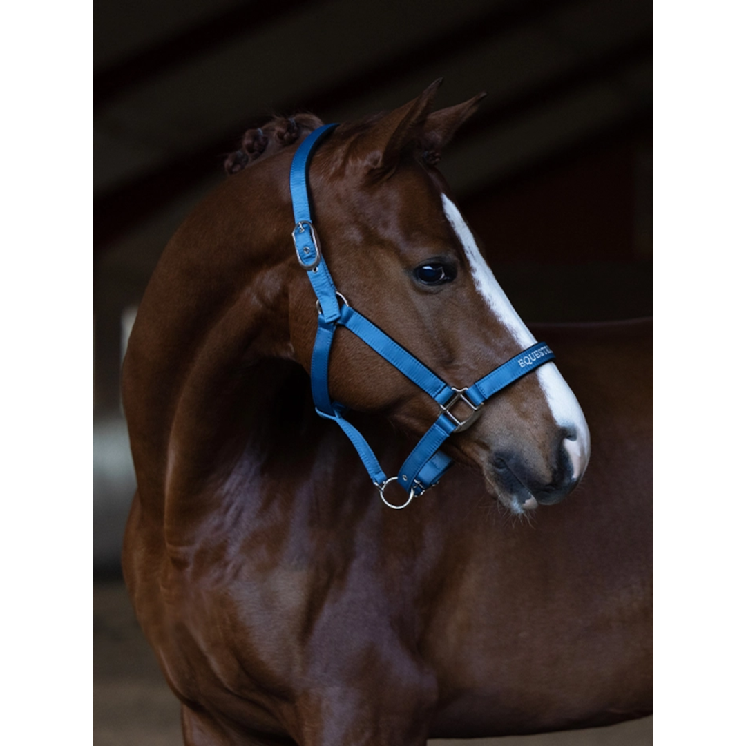 Halters, Headcollars, Leads & Fly Masks Archives - Equestrian House